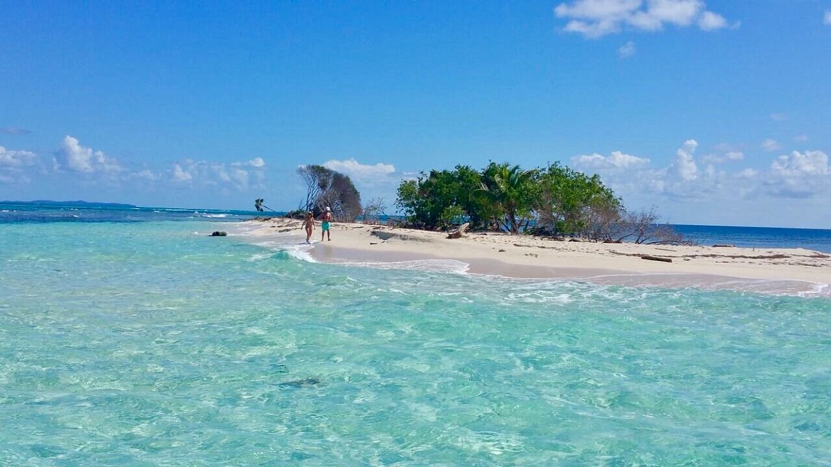 Holiday on Jackson Island - REAL IELTS