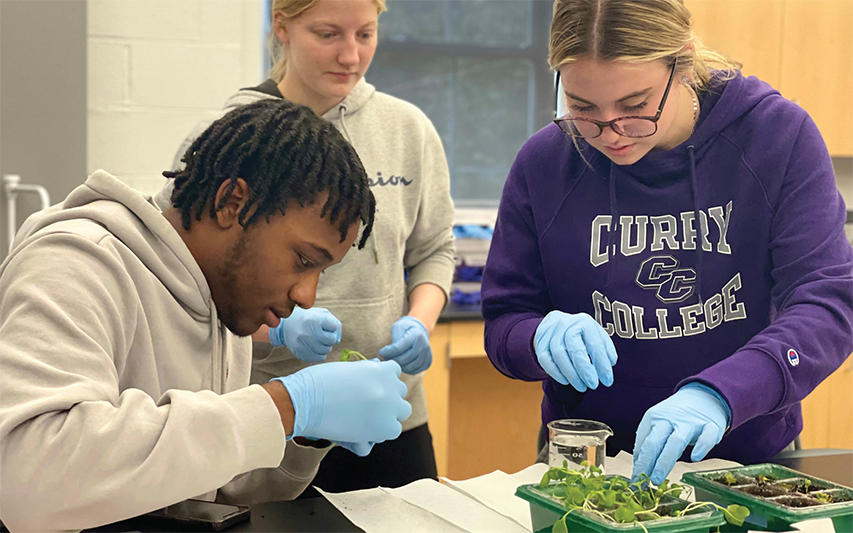 Environmental Science Course - REAL IELTS